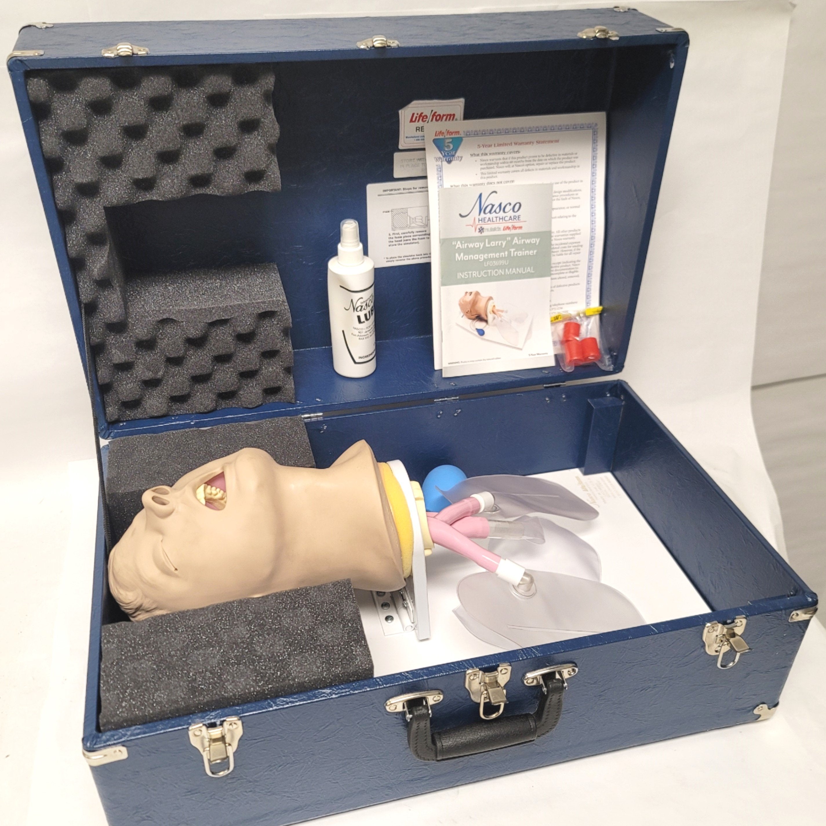 Nasco Life Form LFO3699 Airway Larry Airway Management Trainer Anatomi ...